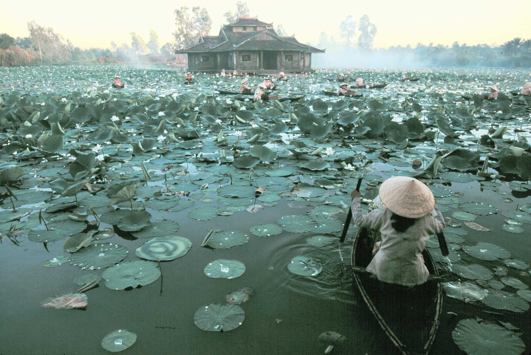 Artist in Residence Tony Bui: “We're Trying to Tell Our Stories ...